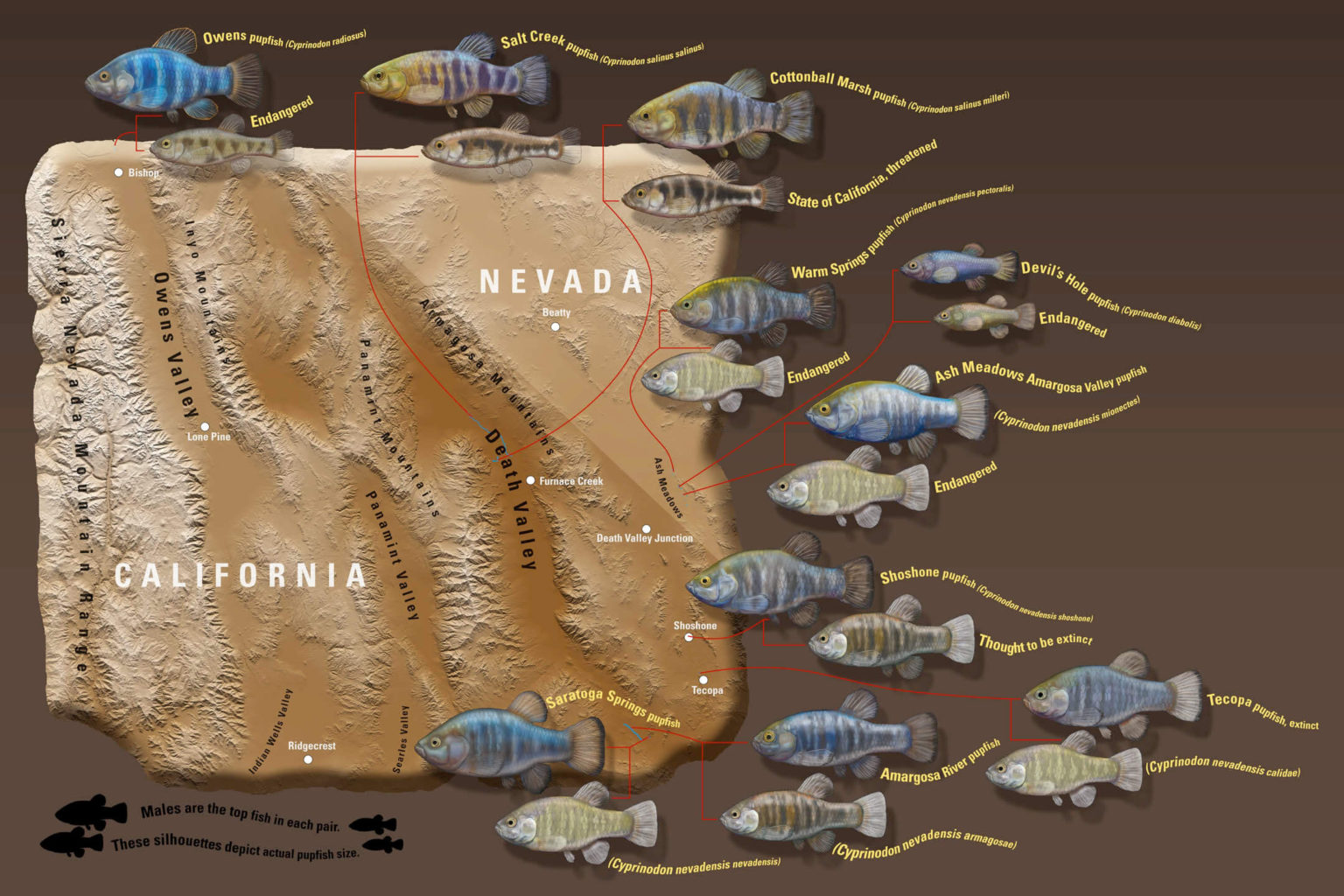 Devils Hole - Death Valley Natural History Association